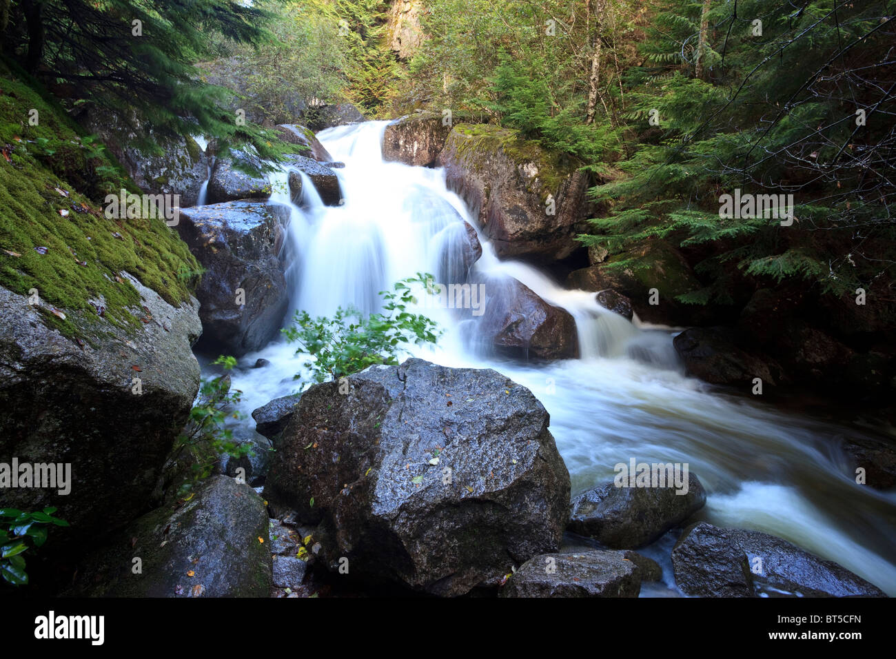 Forest stream in Stawamus Chief Provincial Park in coastal mountains of ...