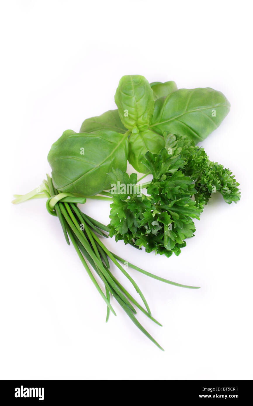 green three herbs on white background Stock Photo - Alamy