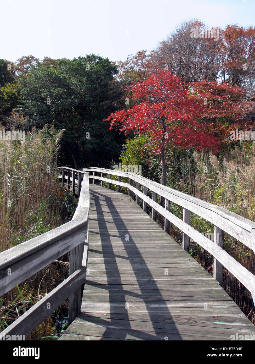 Beautiful Nature Walk Stock Photo - Alamy