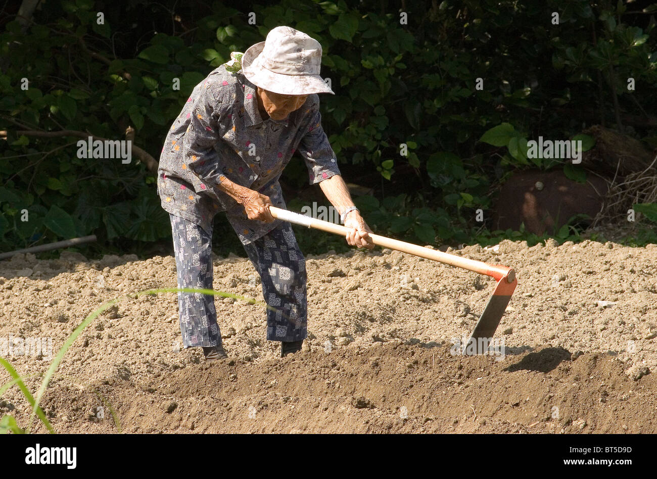 Japan gardening hoeing hoe garden hi-res stock photography and images ...
