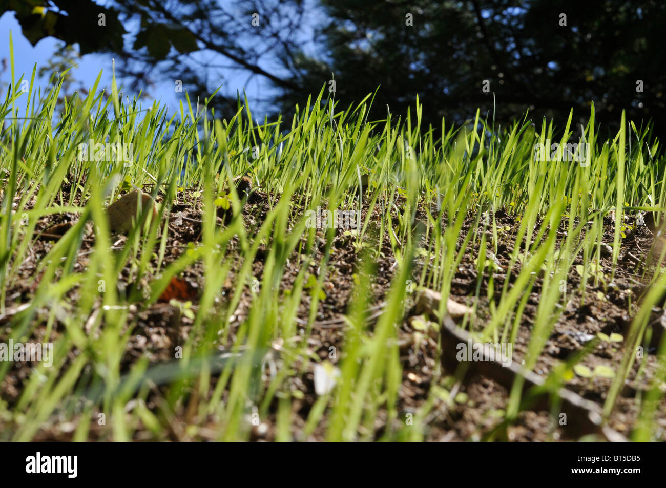 Low angle view soil hi-res stock photography and images - Alamy