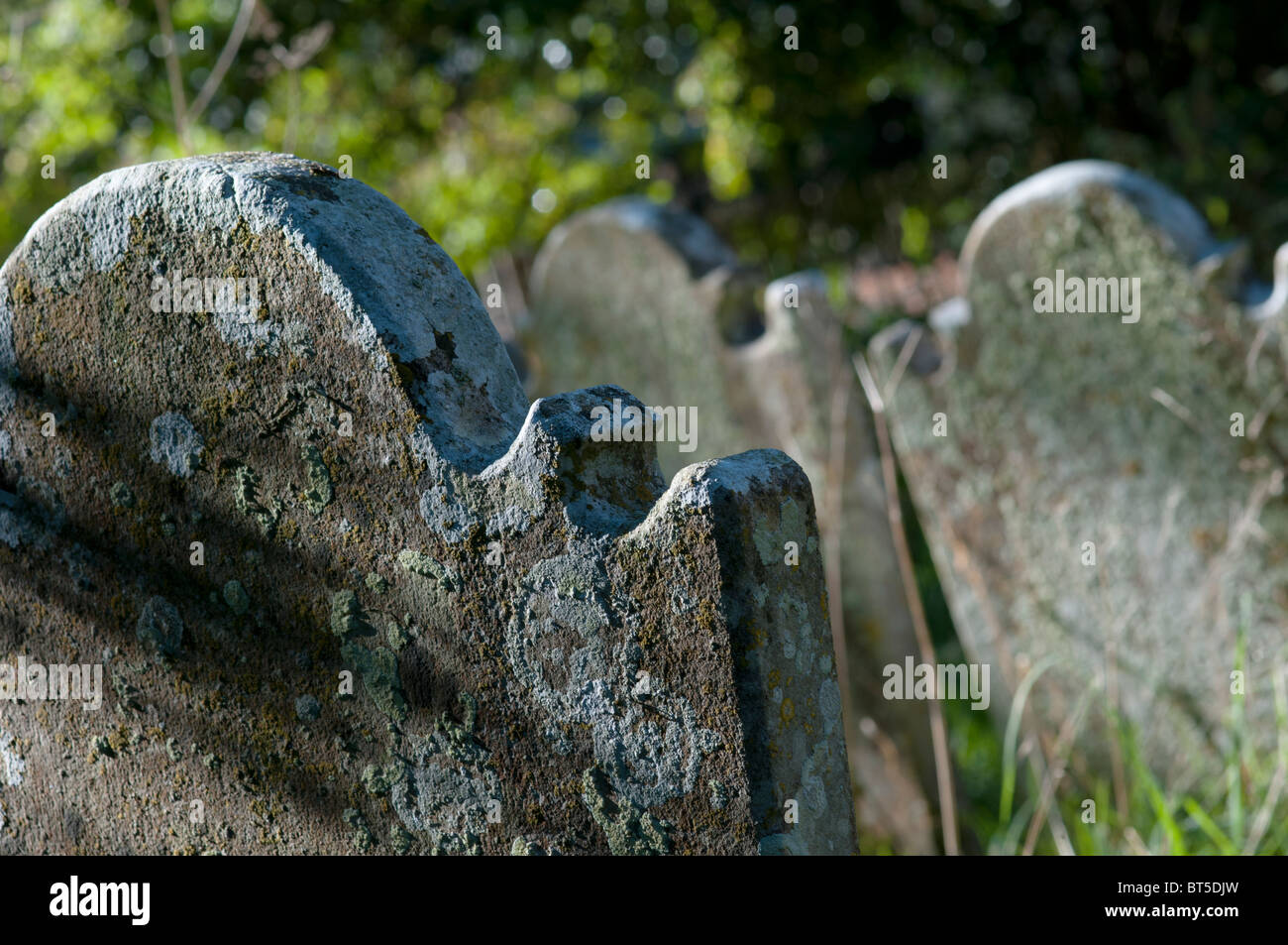 Overgrown cemetery hi-res stock photography and images - Alamy