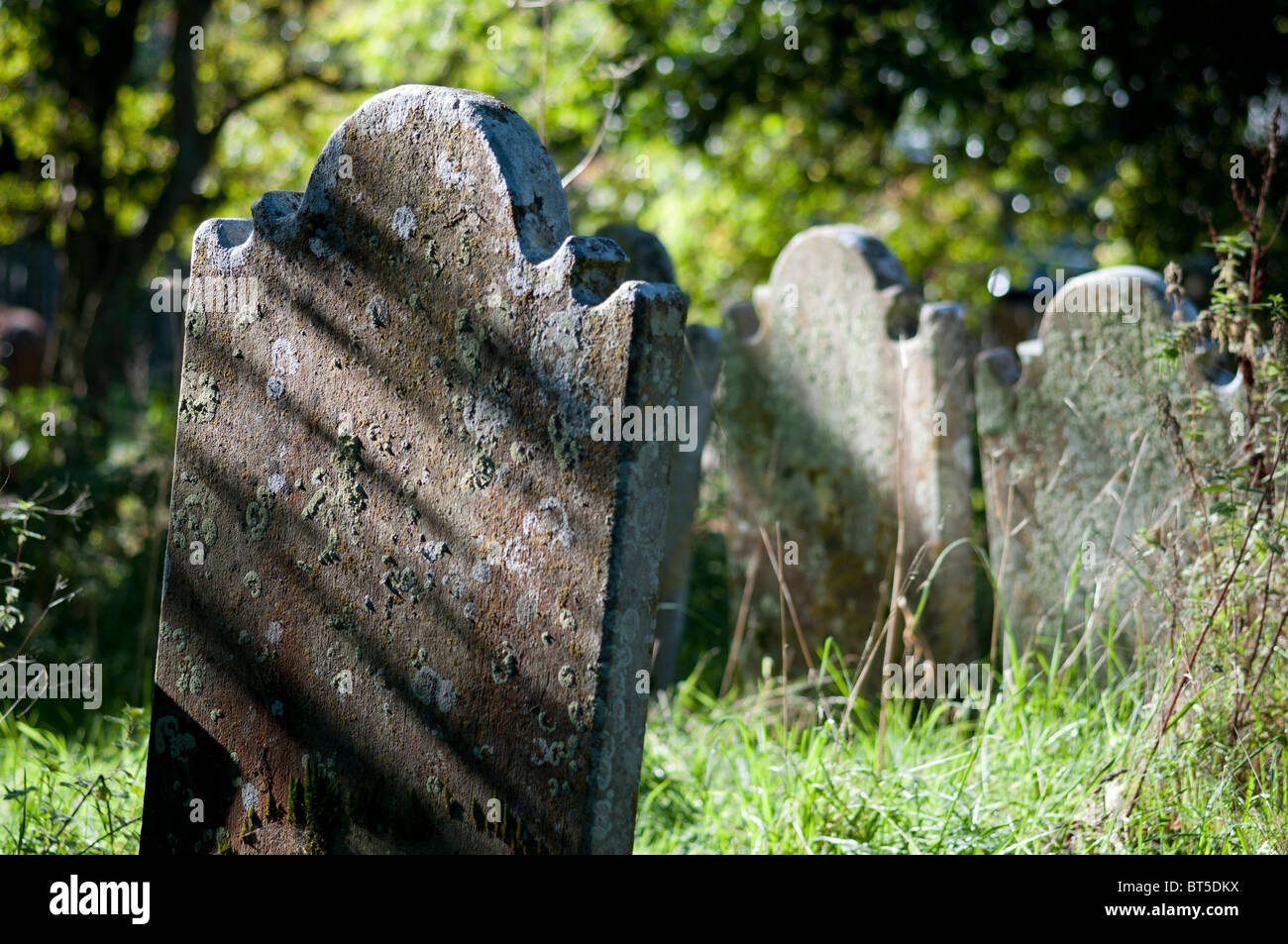 old forgotten cemetery graveyard in autumn shade Stock Photo - Alamy