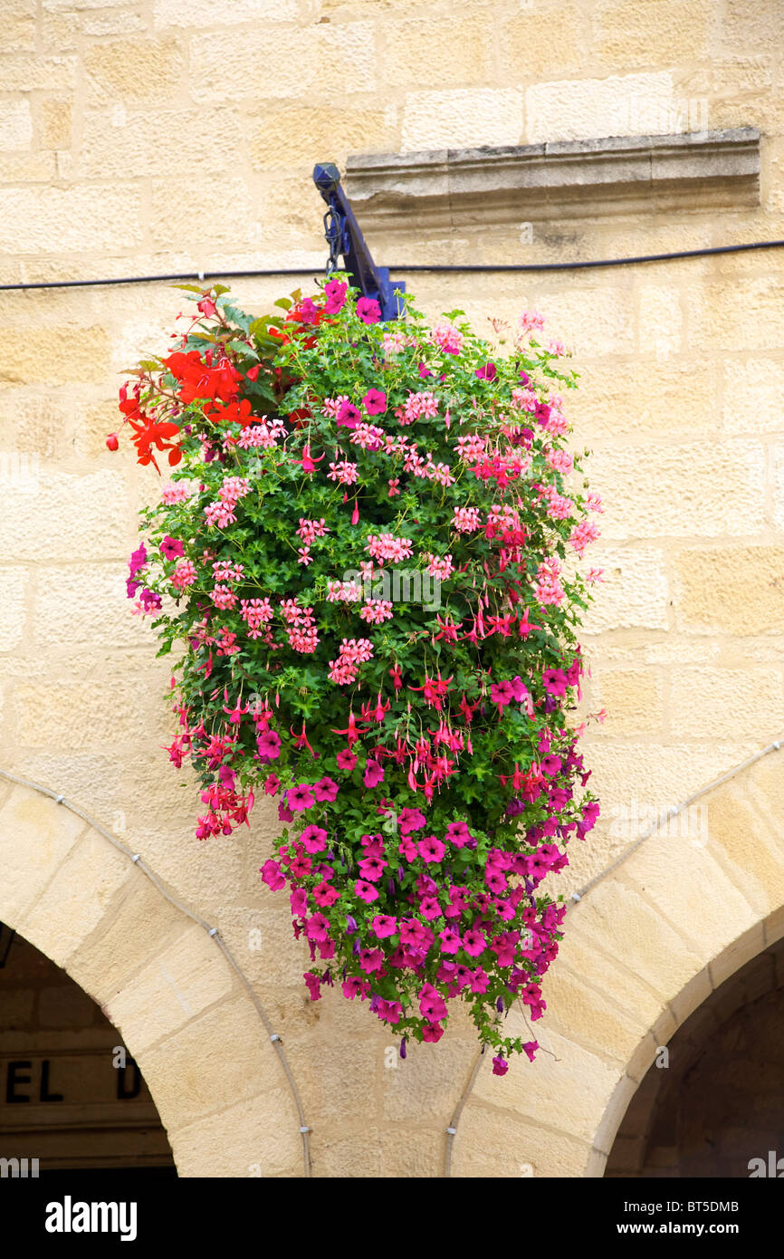 A hanging flower basket on a yellow limestone wall of a house in ...