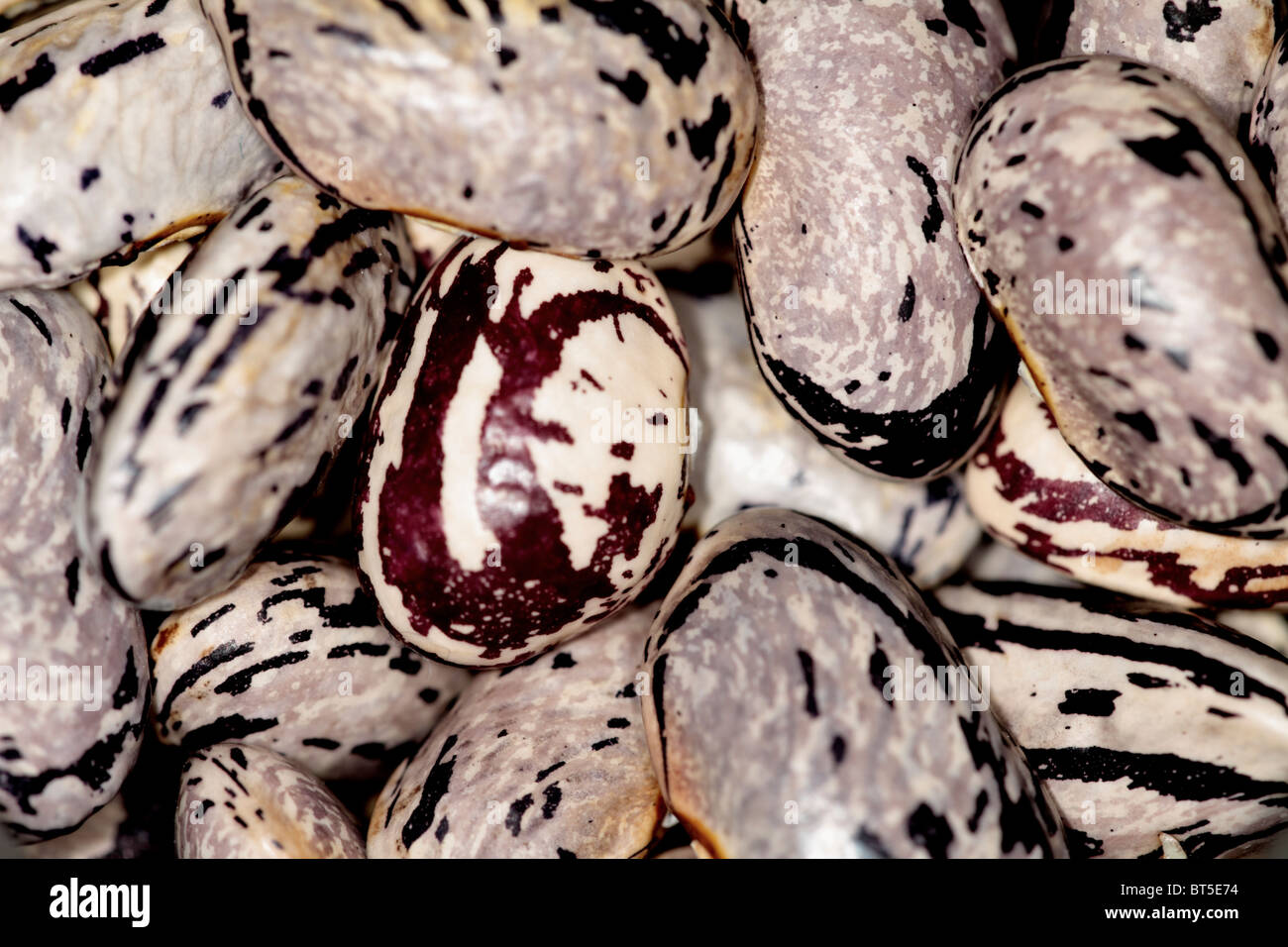 Dried romano beans hi-res stock photography and images - Alamy