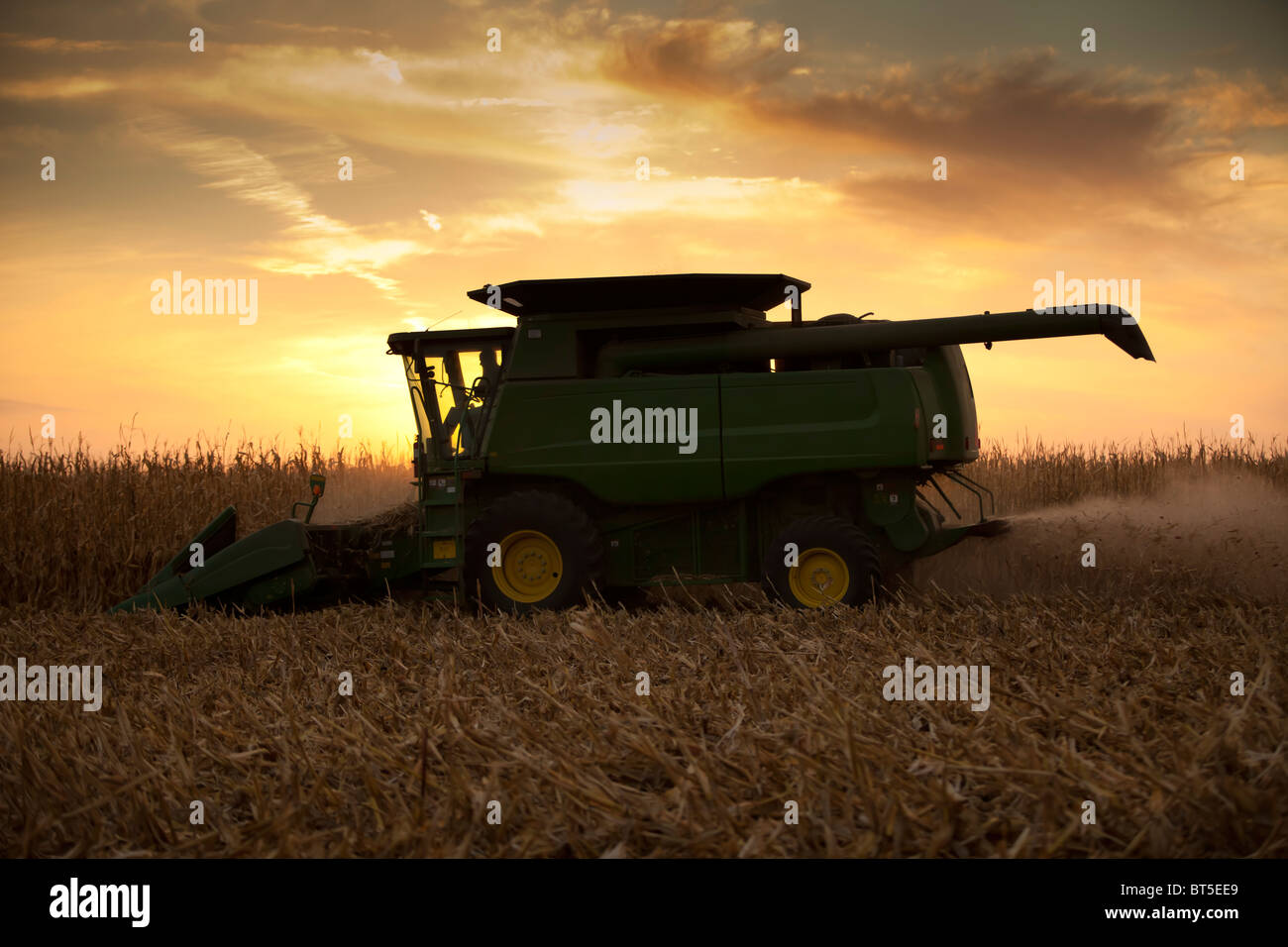 Corn Harvest, Combine at Sunset Stock Photo - Alamy