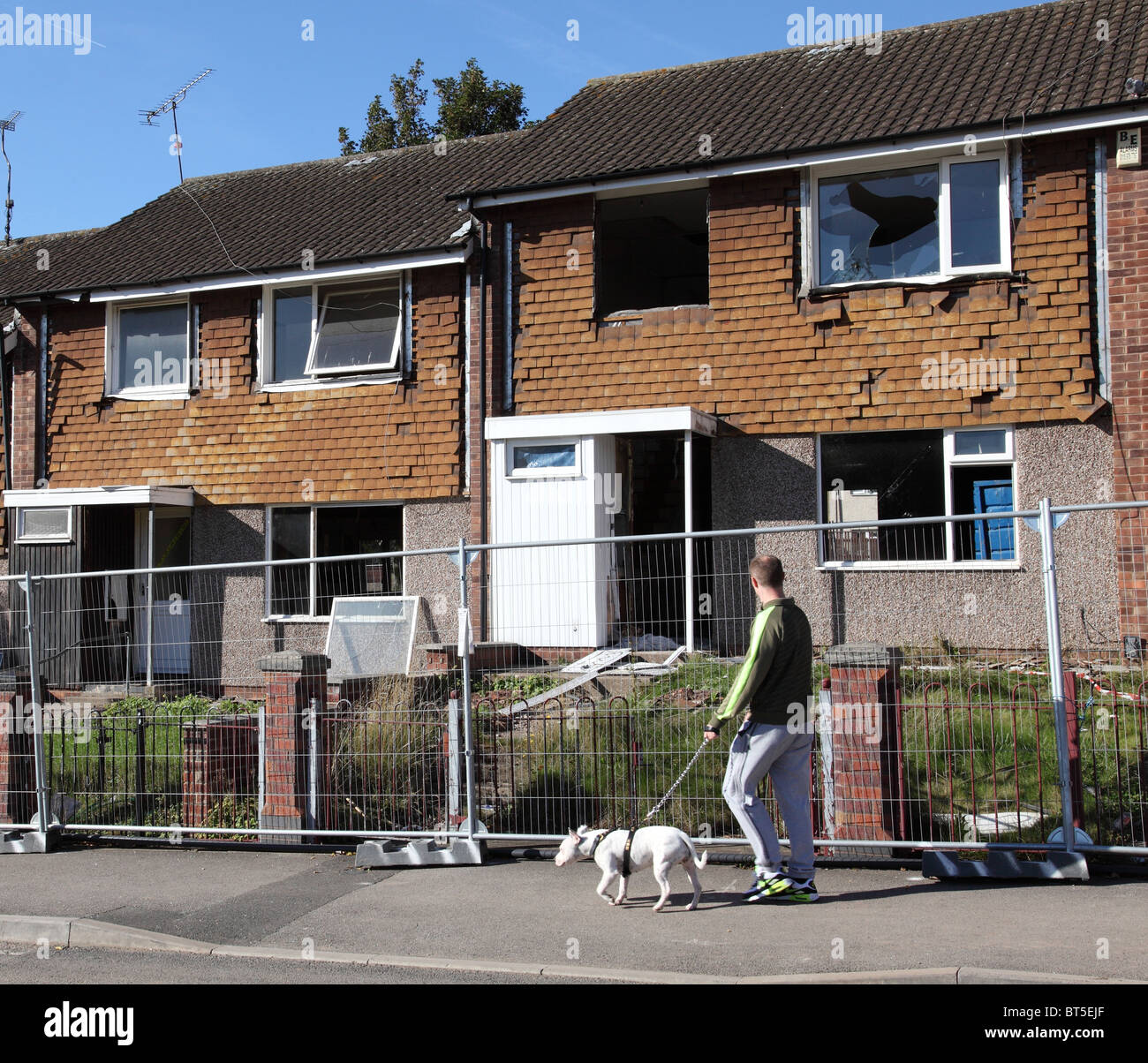 Can You Have Dogs In A Council House