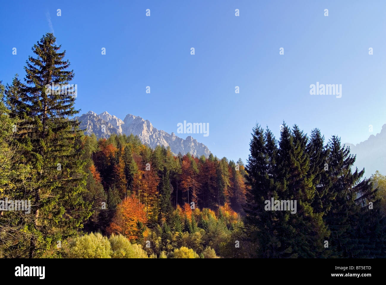 Fall colours colors trees hi-res stock photography and images - Alamy
