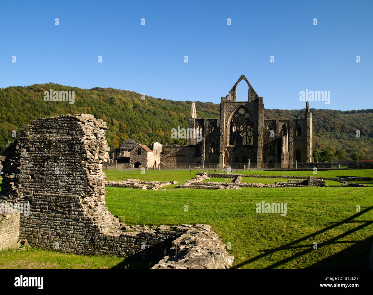Sunny day at Tintern Wye Valley Wales Stock Photo - Alamy