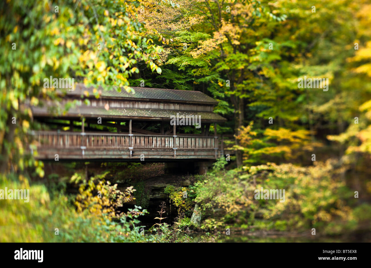 Covered wooden bridge with Autumn Trees in foreground Stock Photo - Alamy