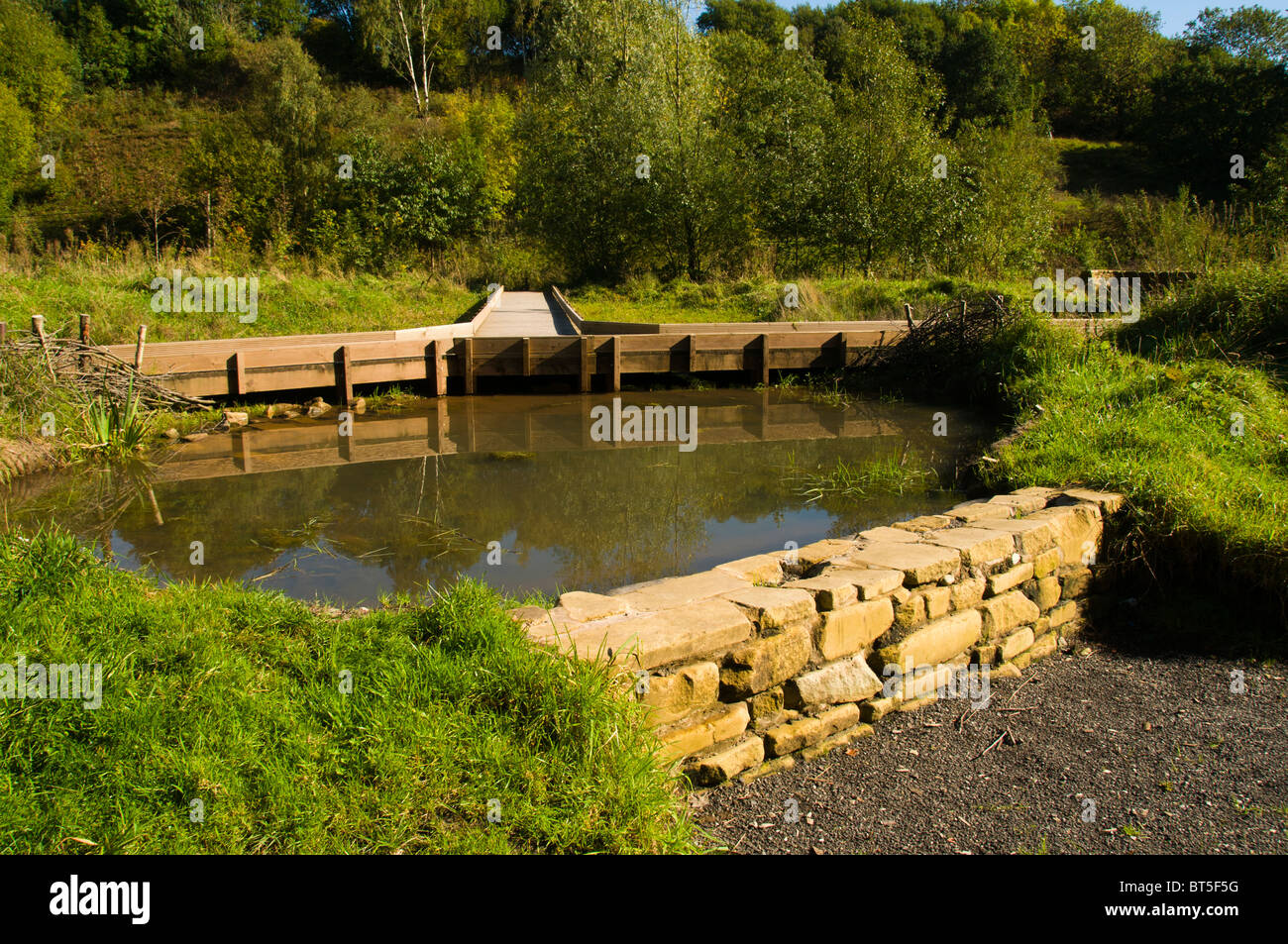 Wildlife pond with wooden walkway, Park Bridge, Ashton under Lyne ...