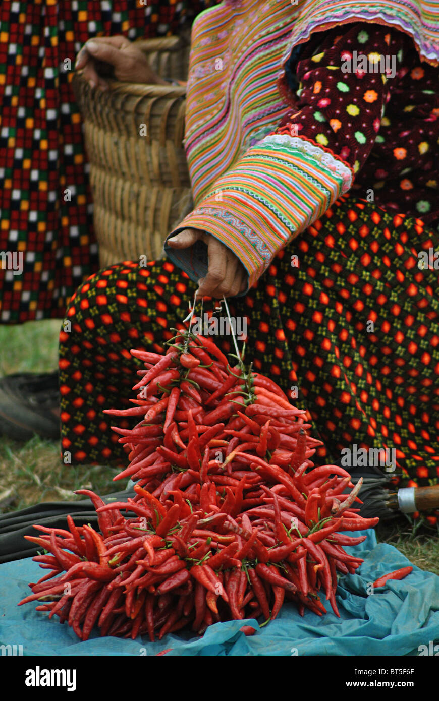 Chilli Flower High Resolution Stock Photography and Images - Alamy