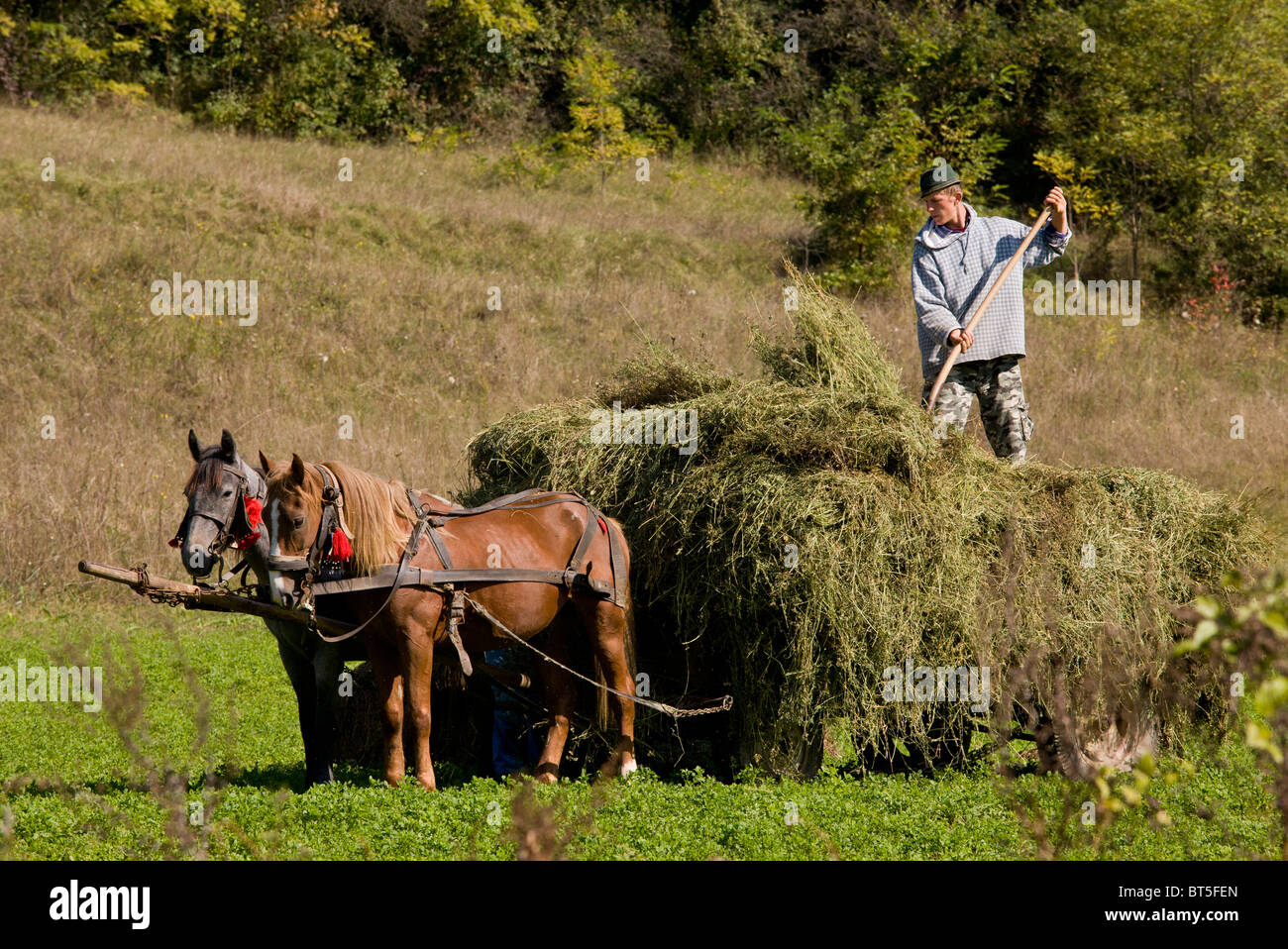 Hay cart hi-res stock photography and images - Alamy