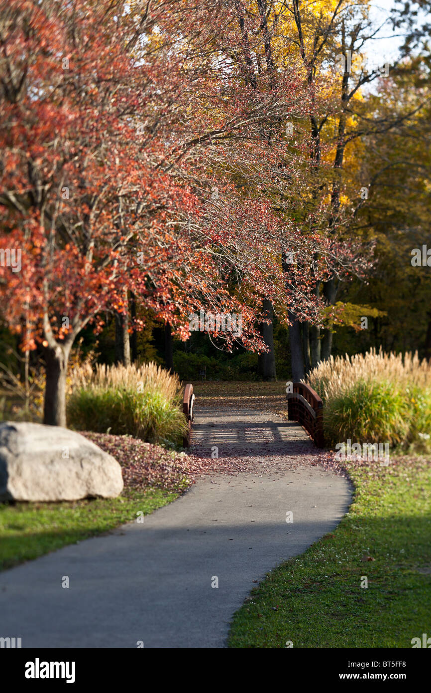 Path cutting thru colorful Autumn trees Stock Photo - Alamy