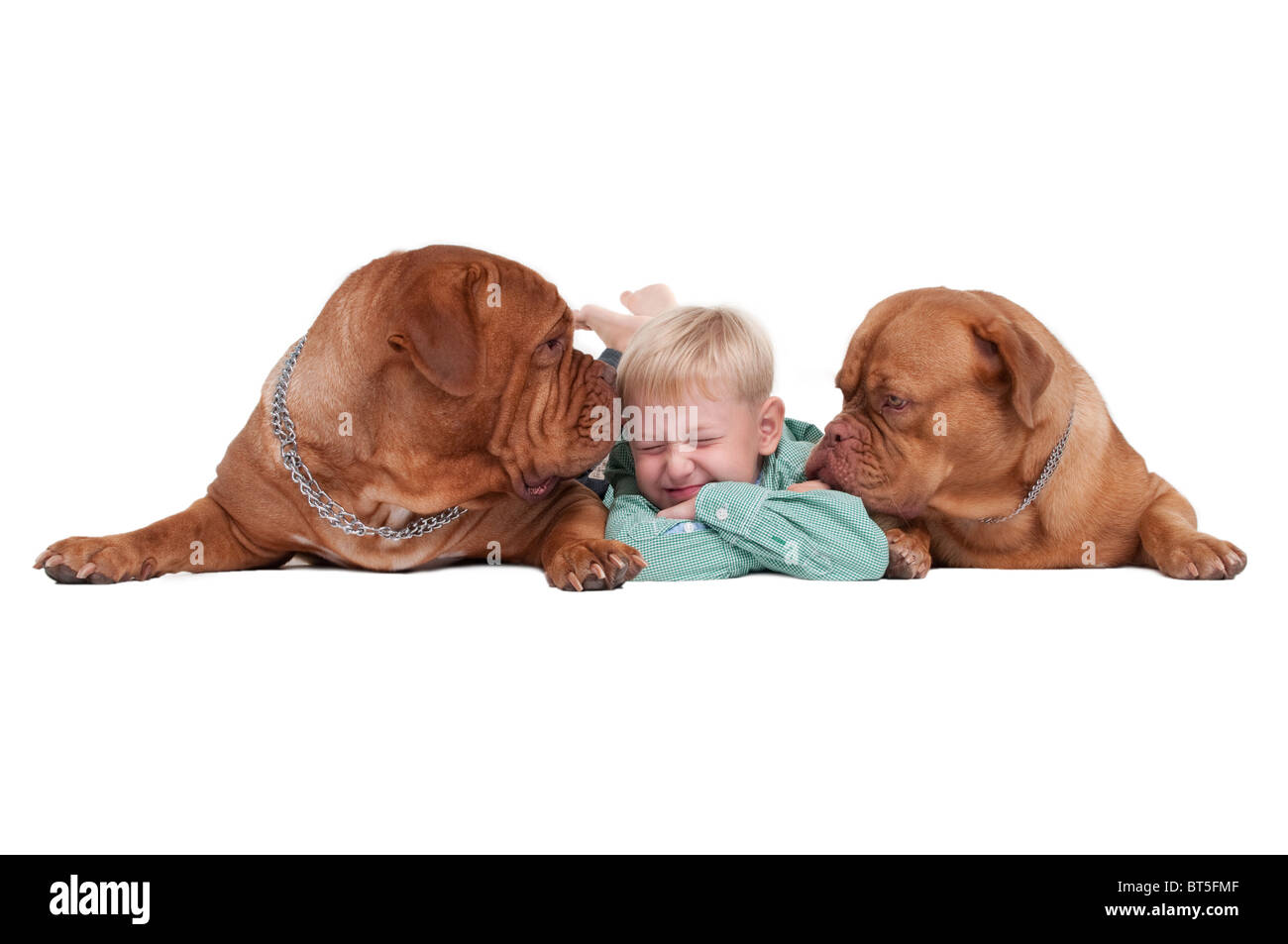 Master with his dogs Stock Photo - Alamy
