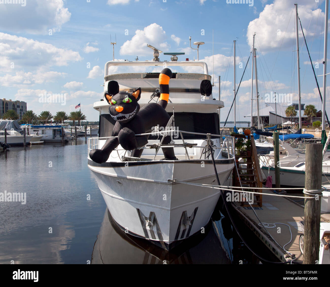 The Cat in the Yacht on Lake Monroe at the Port of Sanford Florida ...