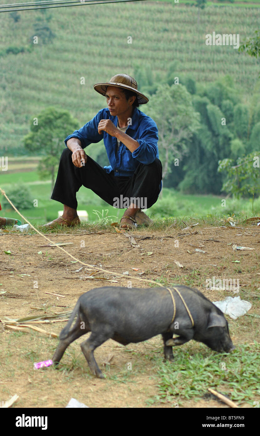 Farmer selling pigs at a market near Sapa, Vietnam Stock Photo - Alamy