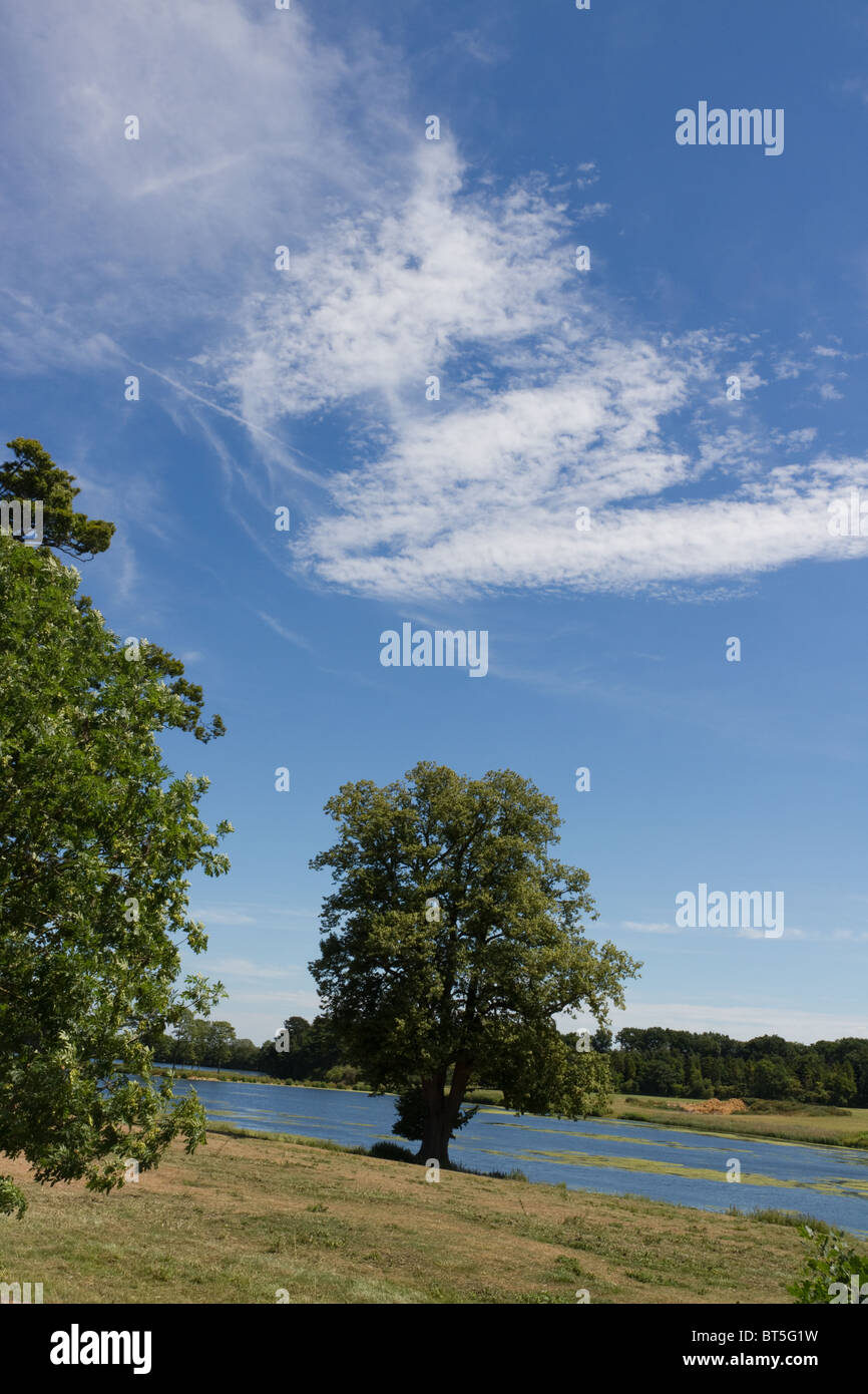 England lake lakeside tree hi-res stock photography and images - Alamy