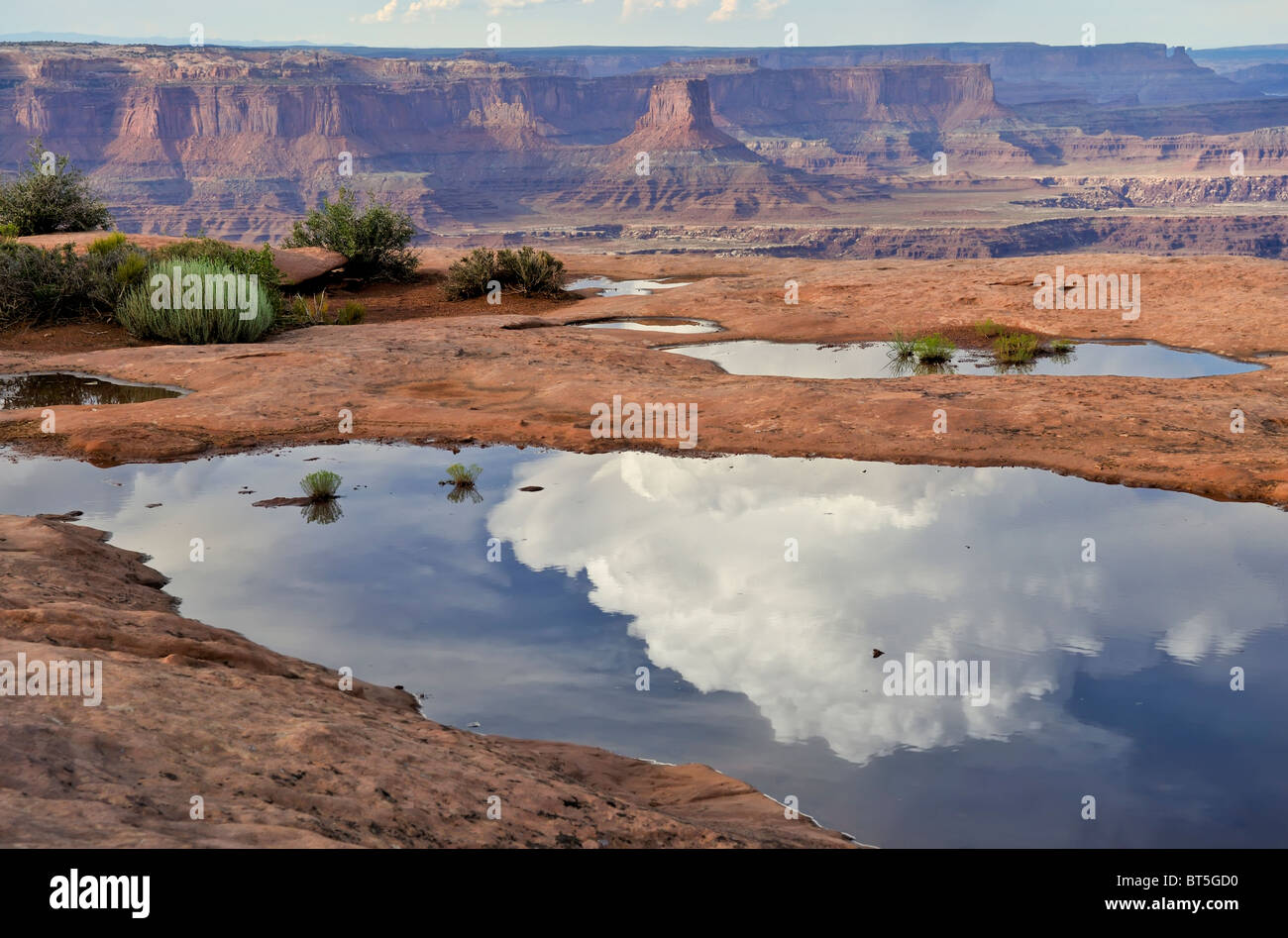 Water Pool Reflection Stock Photo - Alamy