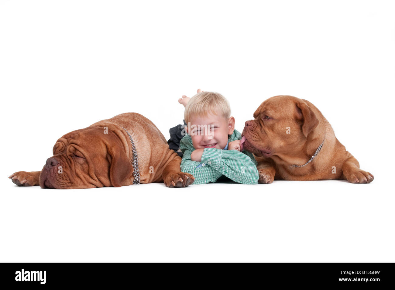 Boy guard Cut Out Stock Images & Pictures - Alamy