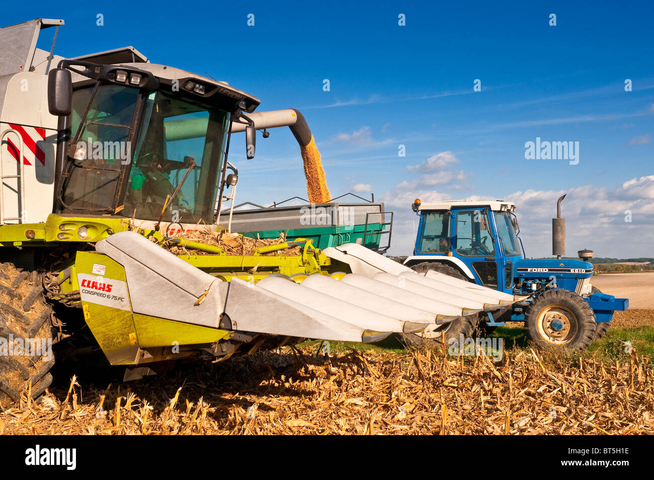 Claas Lexion 540 combine harvester unloading Maize / Sweet Corn crop ...