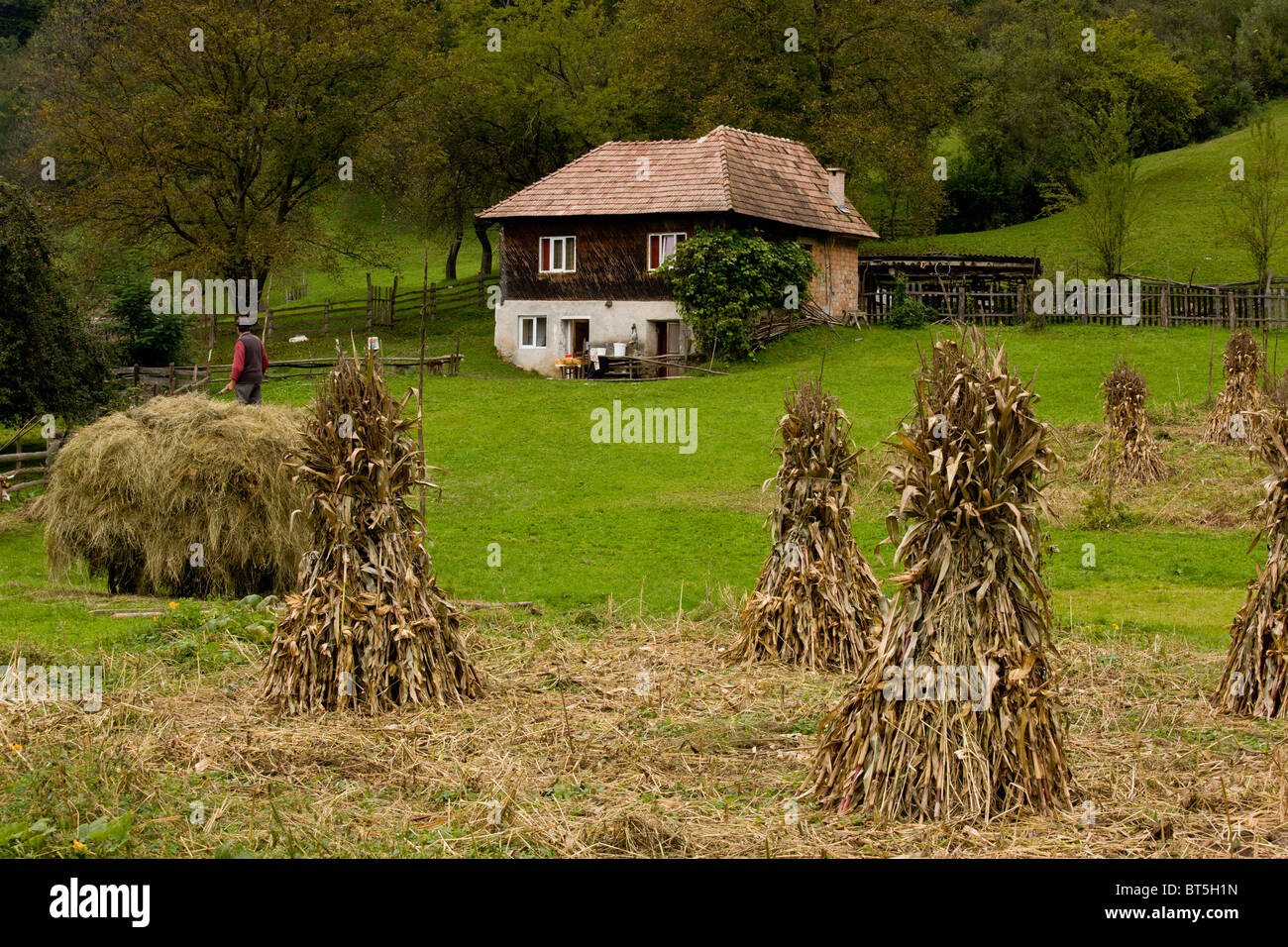 Old fashioned hay cart hi-res stock photography and images - Alamy