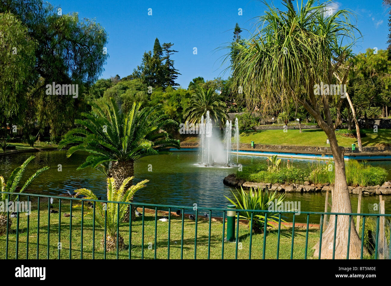 Fountain in public park gardens garden Parque de Santa Catarina Funchal ...