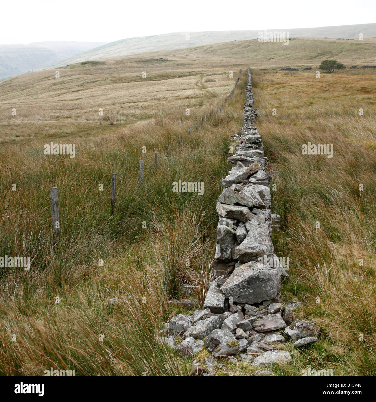 Dry Stone Wall, Brecon Beacons, Wales, UK Stock Photo - Alamy