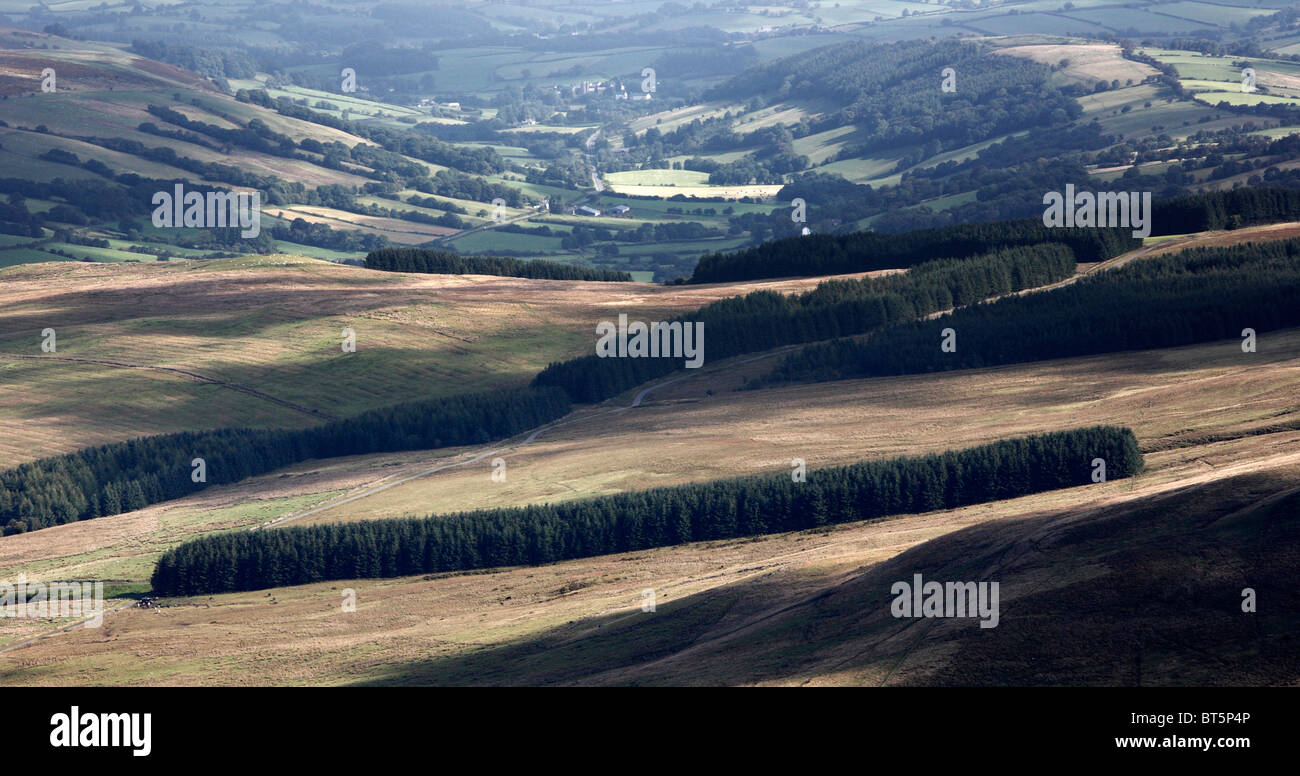 Forestry plantation plantations hi-res stock photography and images - Alamy