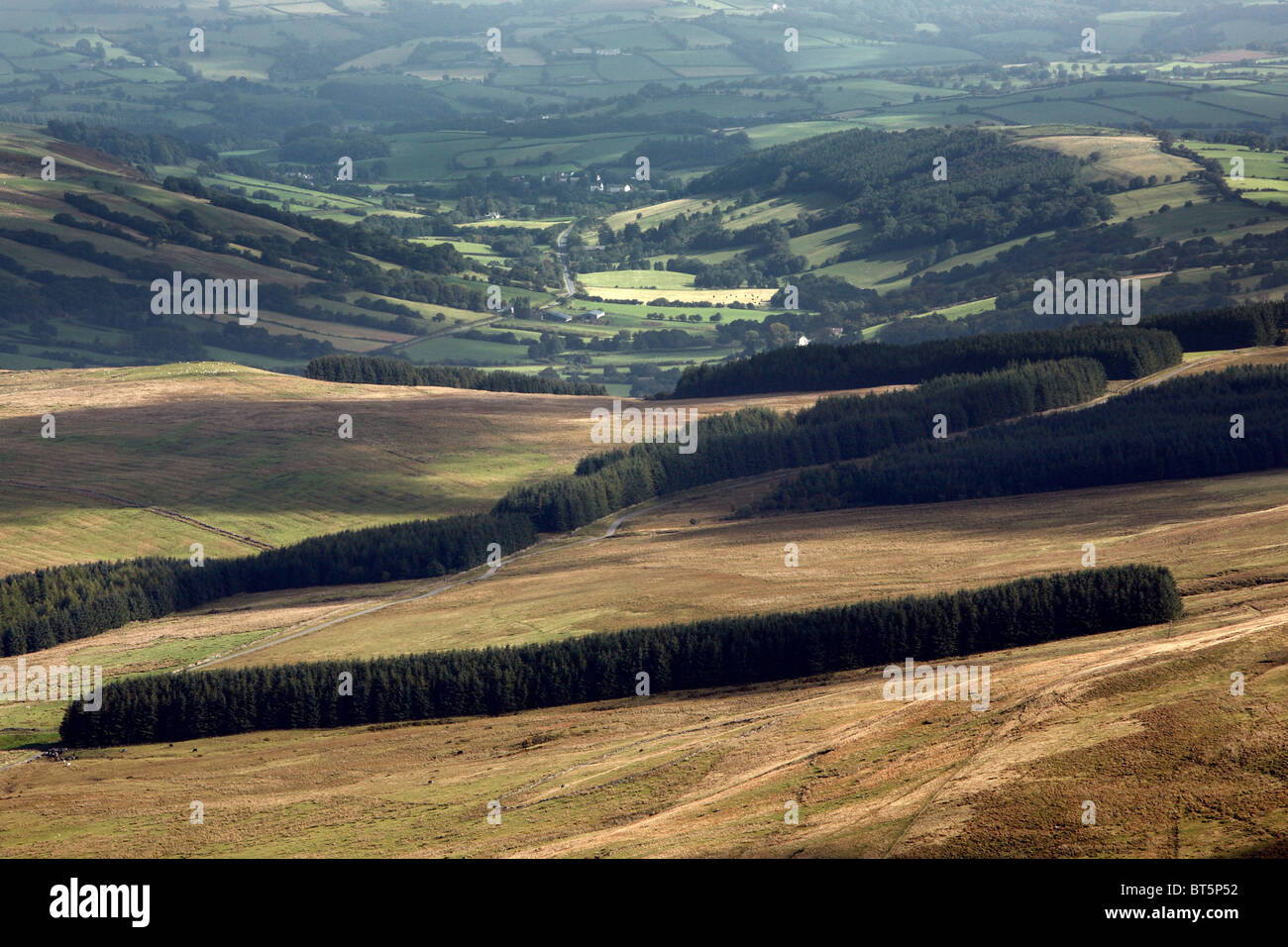 Forestry plantation plantations hi-res stock photography and images - Alamy