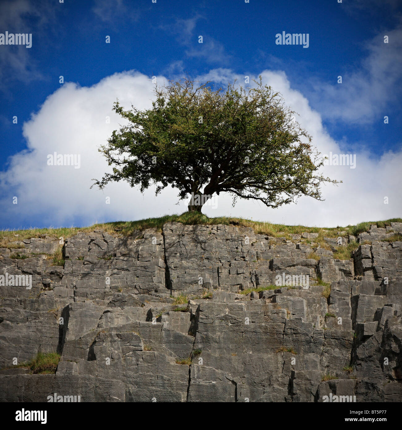 Morlais castle hi-res stock photography and images - Alamy