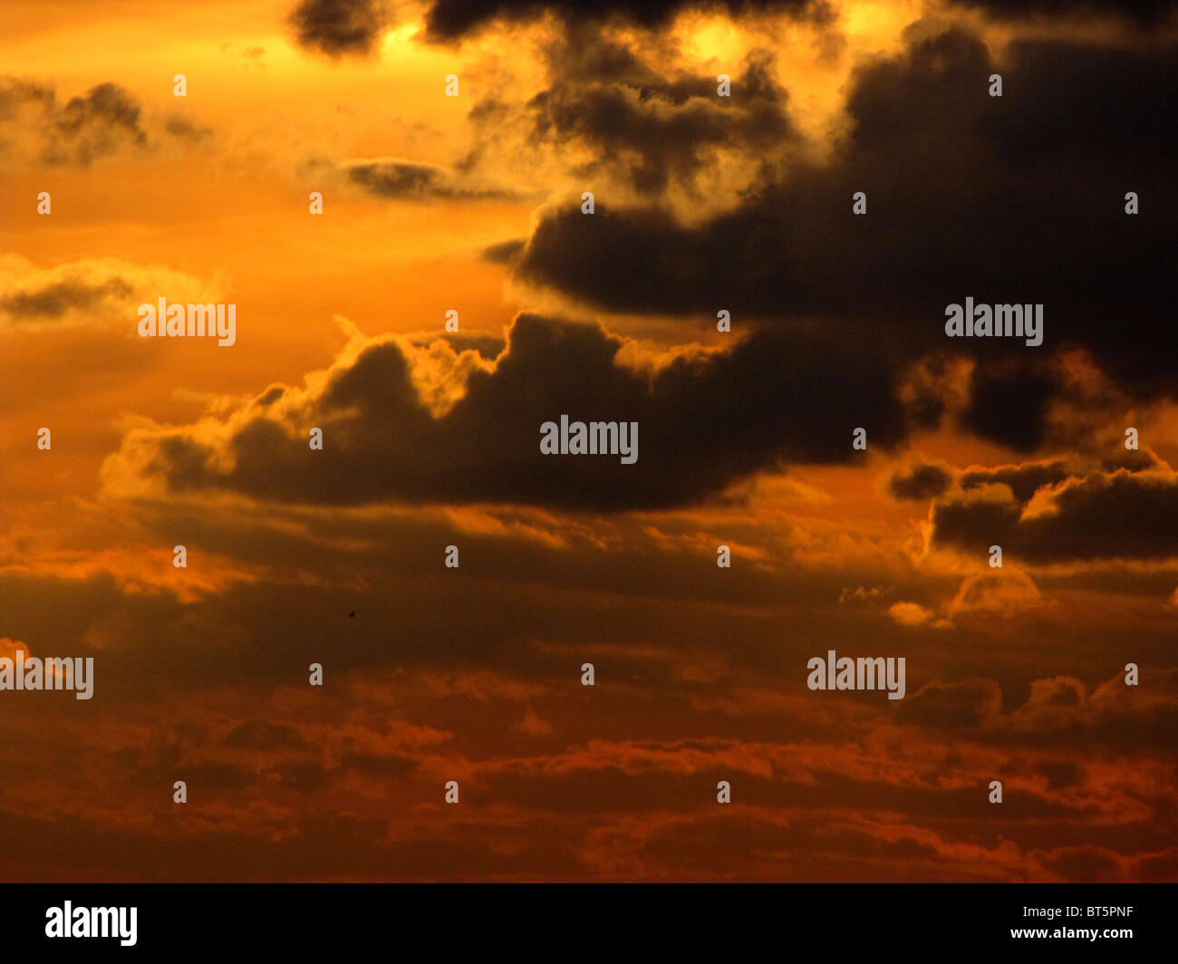 Serene beautiful winter sunset hi-res stock photography and images - Alamy