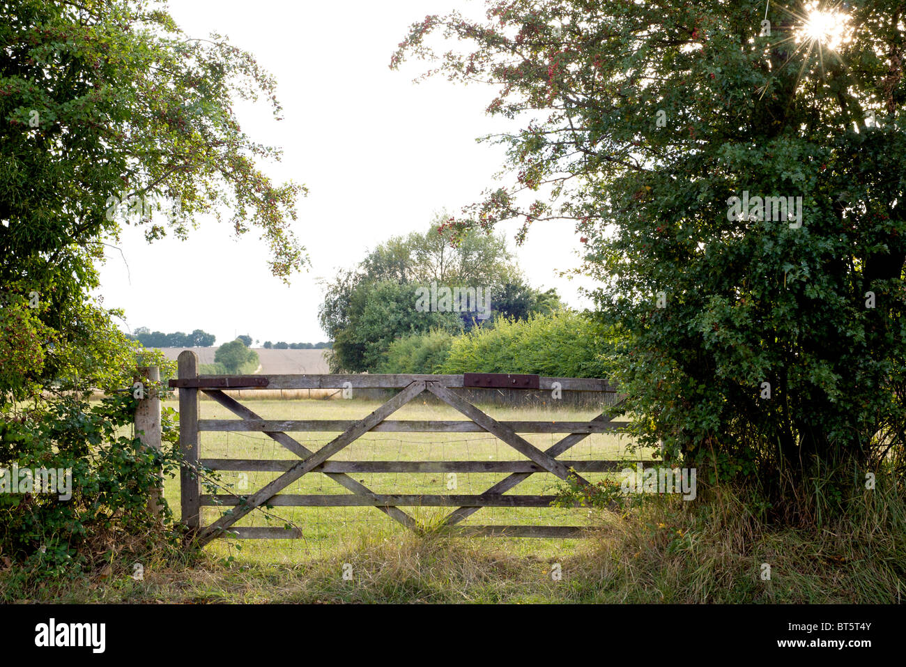 A rural wooden gate on a summer's evening in rural countryside close to ...