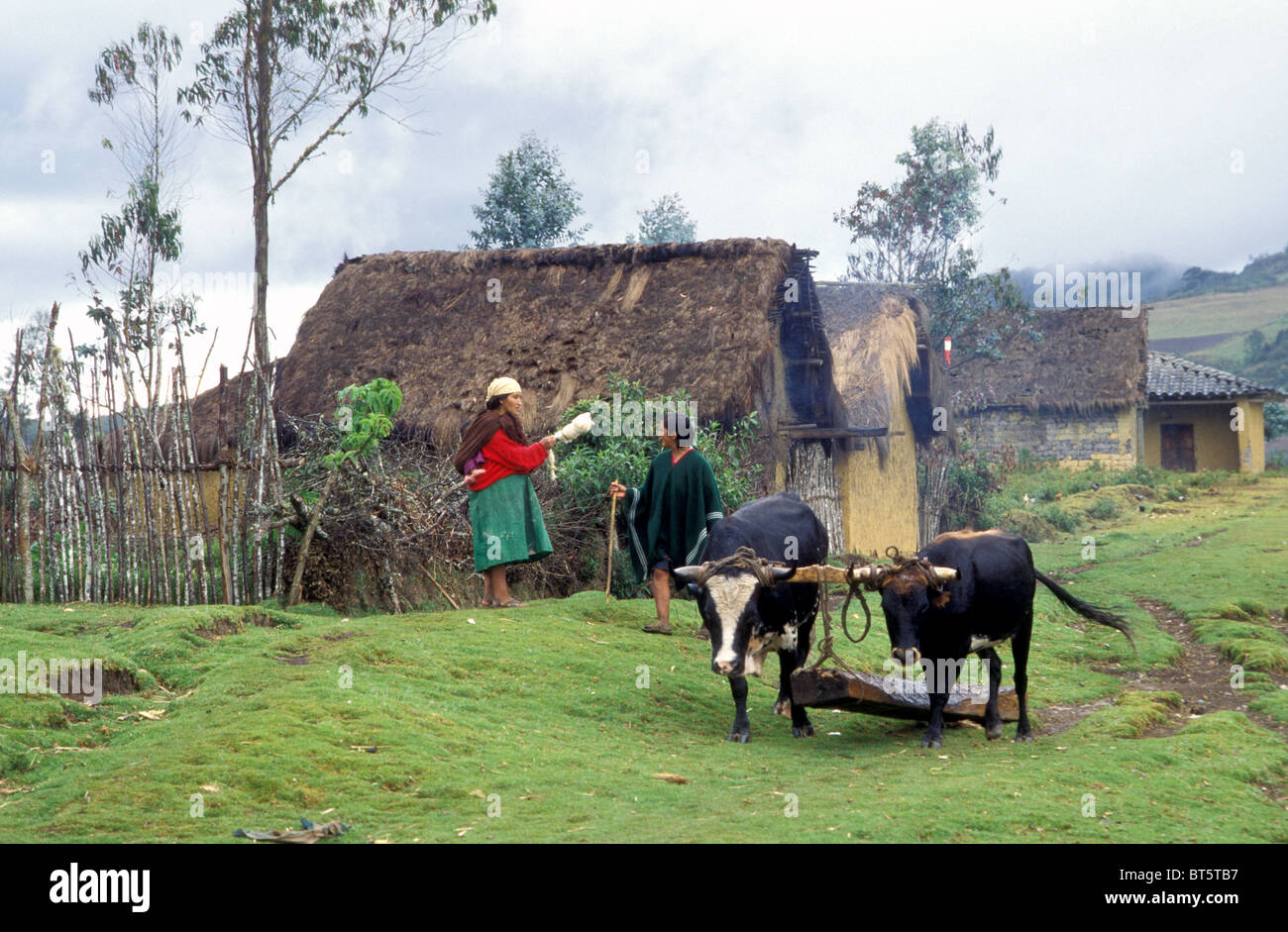 cruzpata village, chachapoyas, amazonia, peru Stock Photo - Alamy