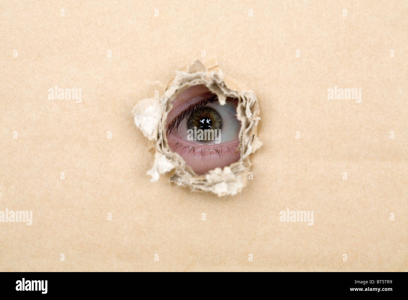 Eye look out from hole in the cardboard Stock Photo - Alamy
