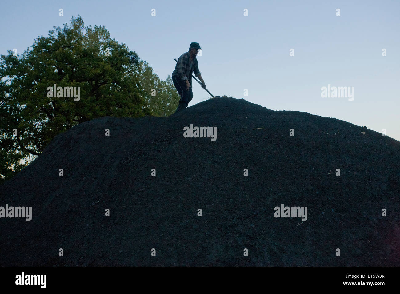 Charcoal burner in his traditional charcoal-burner's yard at Viscri ...