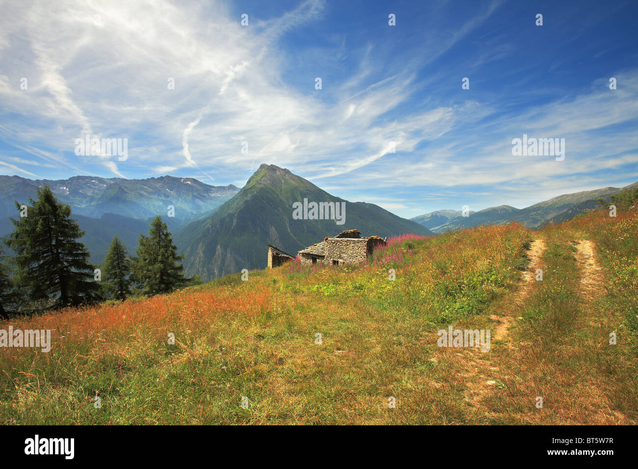 View on beautiful alpine fields and meadows of Alps in Italy Stock ...