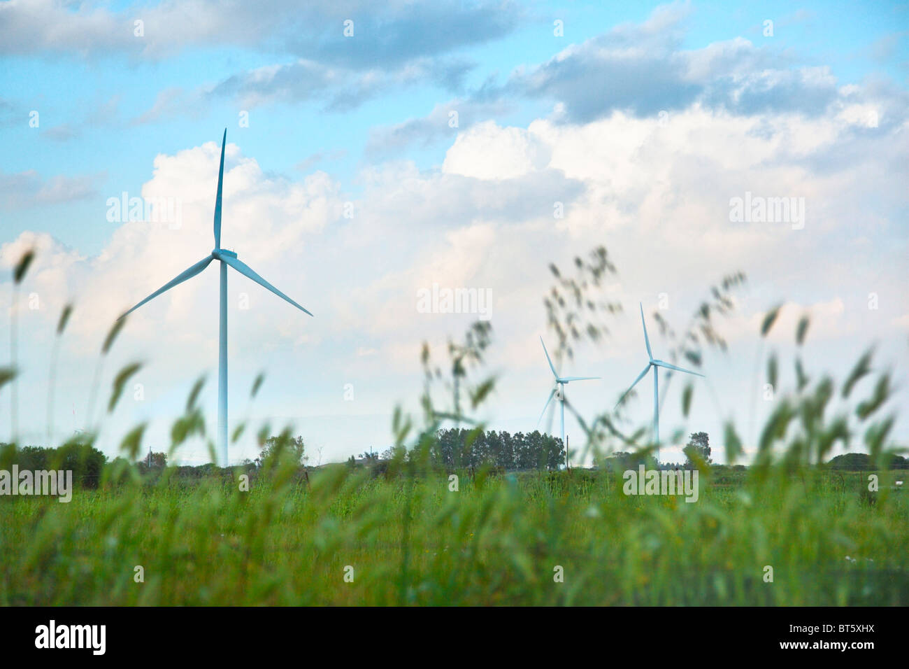 Wind turbines behind grass Stock Photo - Alamy