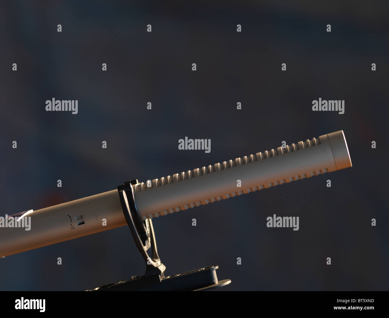 Shot gun microphone hi-res stock photography and images - Alamy