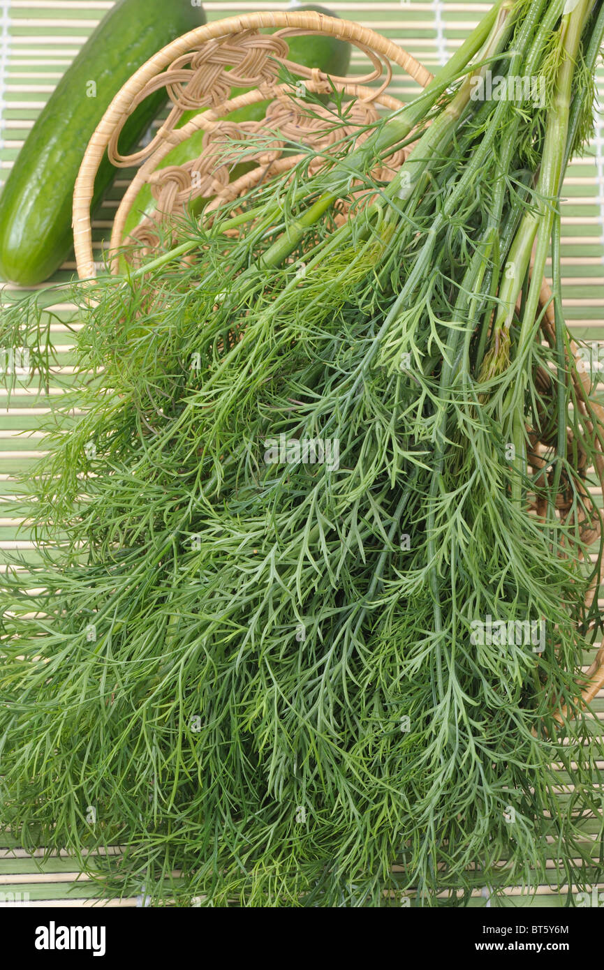 Dill aroma hi-res stock photography and images - Alamy