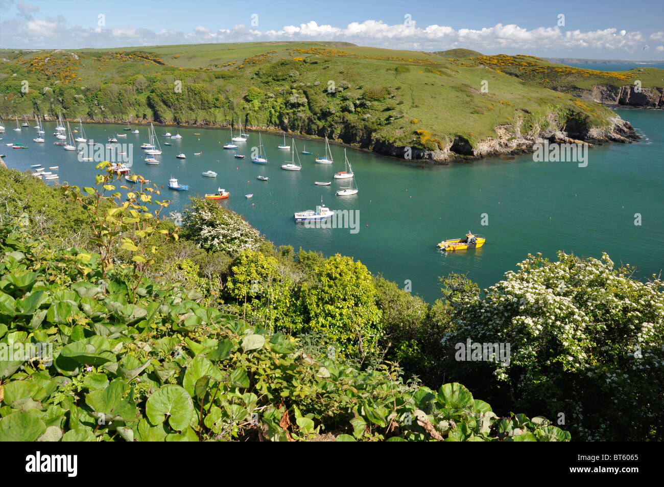 Solva wales hi-res stock photography and images - Alamy