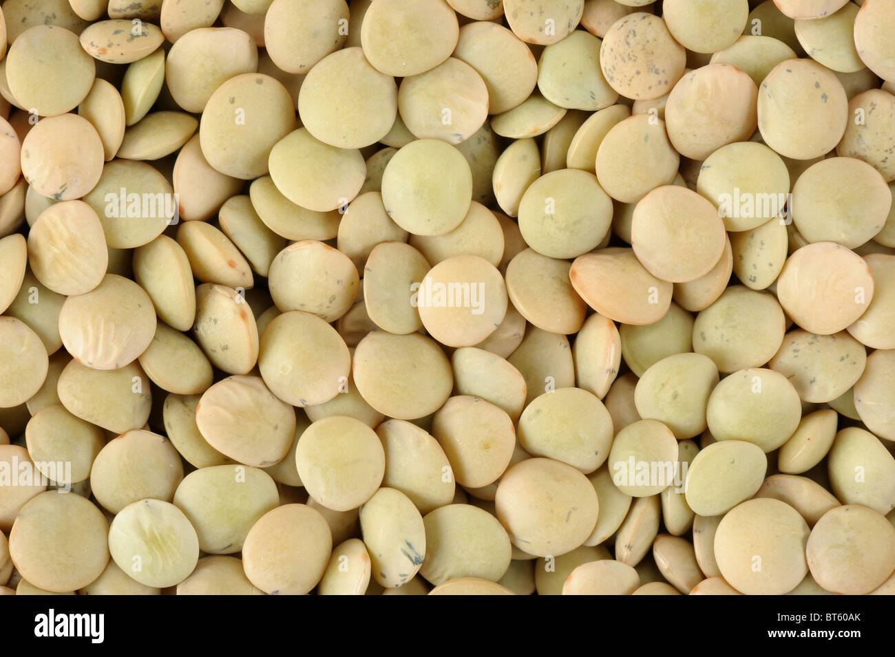 Field of lentils hi-res stock photography and images - Alamy