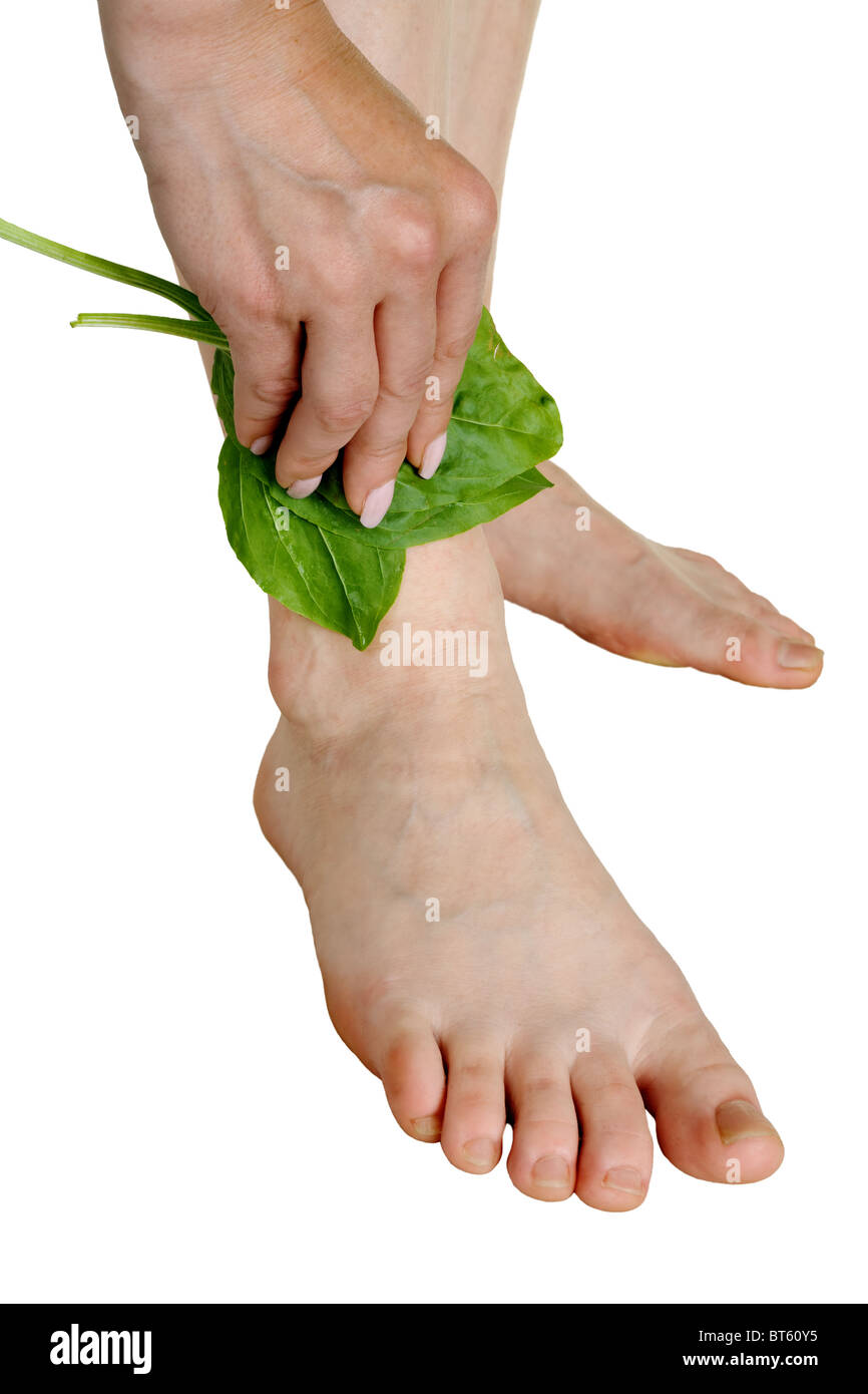 Treatment and recovery Cut Out Stock Images & Pictures - Alamy