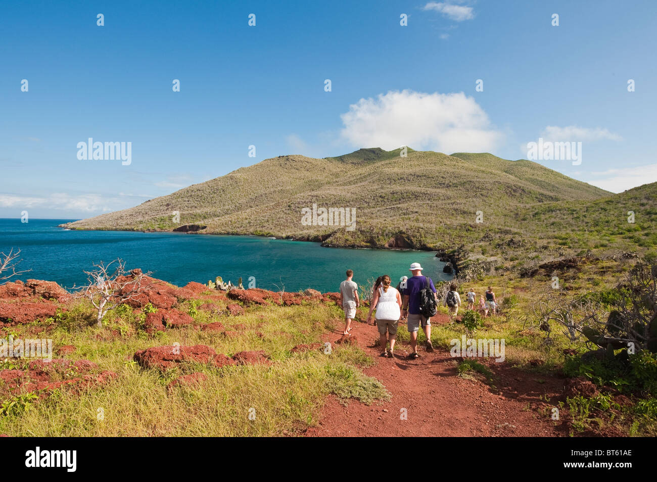 Galapagos Islands, Ecuador. Isla Rábida Island (also called Jervis ...