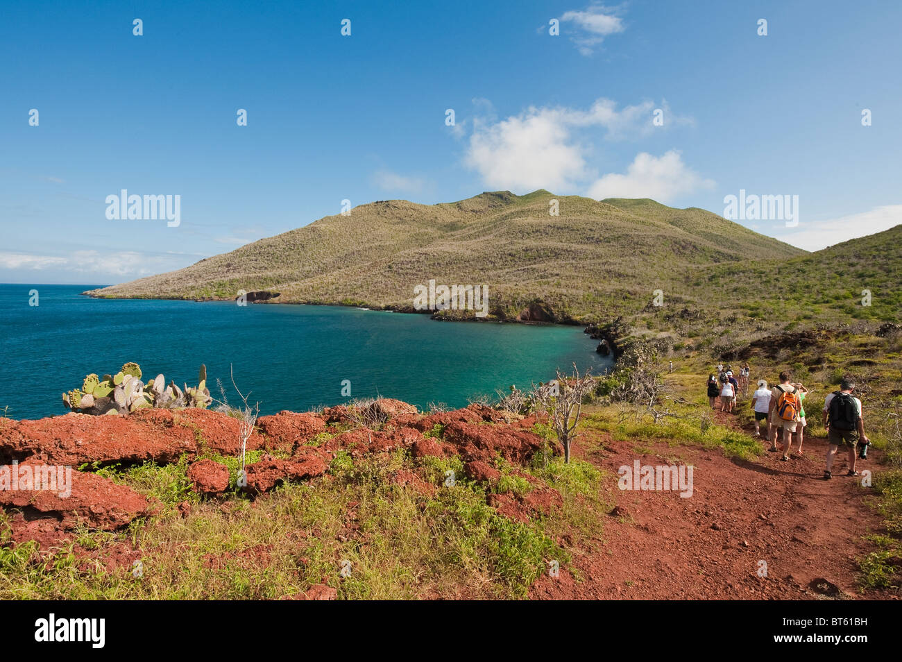 Galapagos Islands, Ecuador. Isla Rábida Island (also called Jervis ...