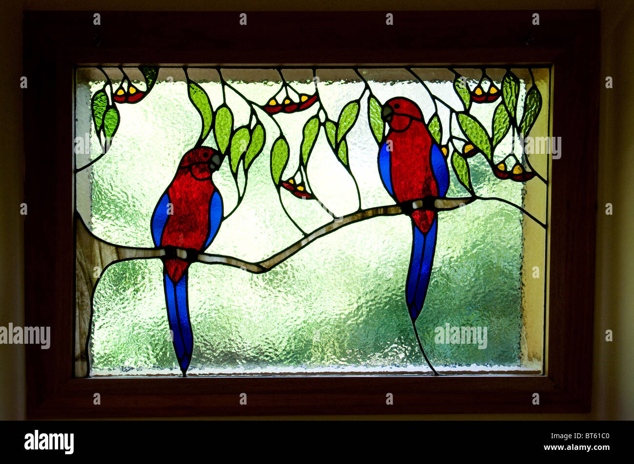 Stained glass window king parrot parakeet crimson rosella hi-res stock ...