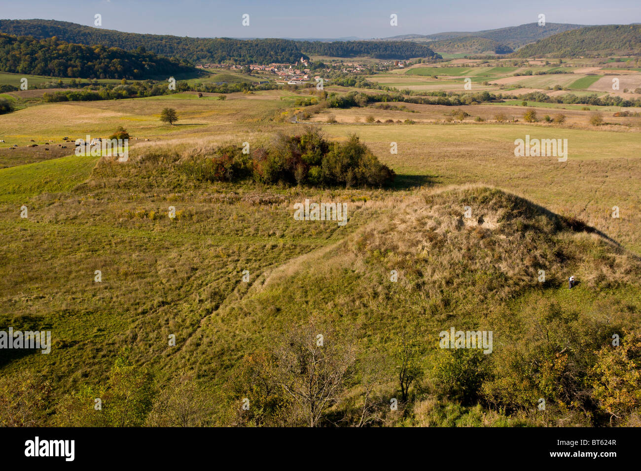 Lovely old pasture, with tumps, around the saxon village of Apold ...