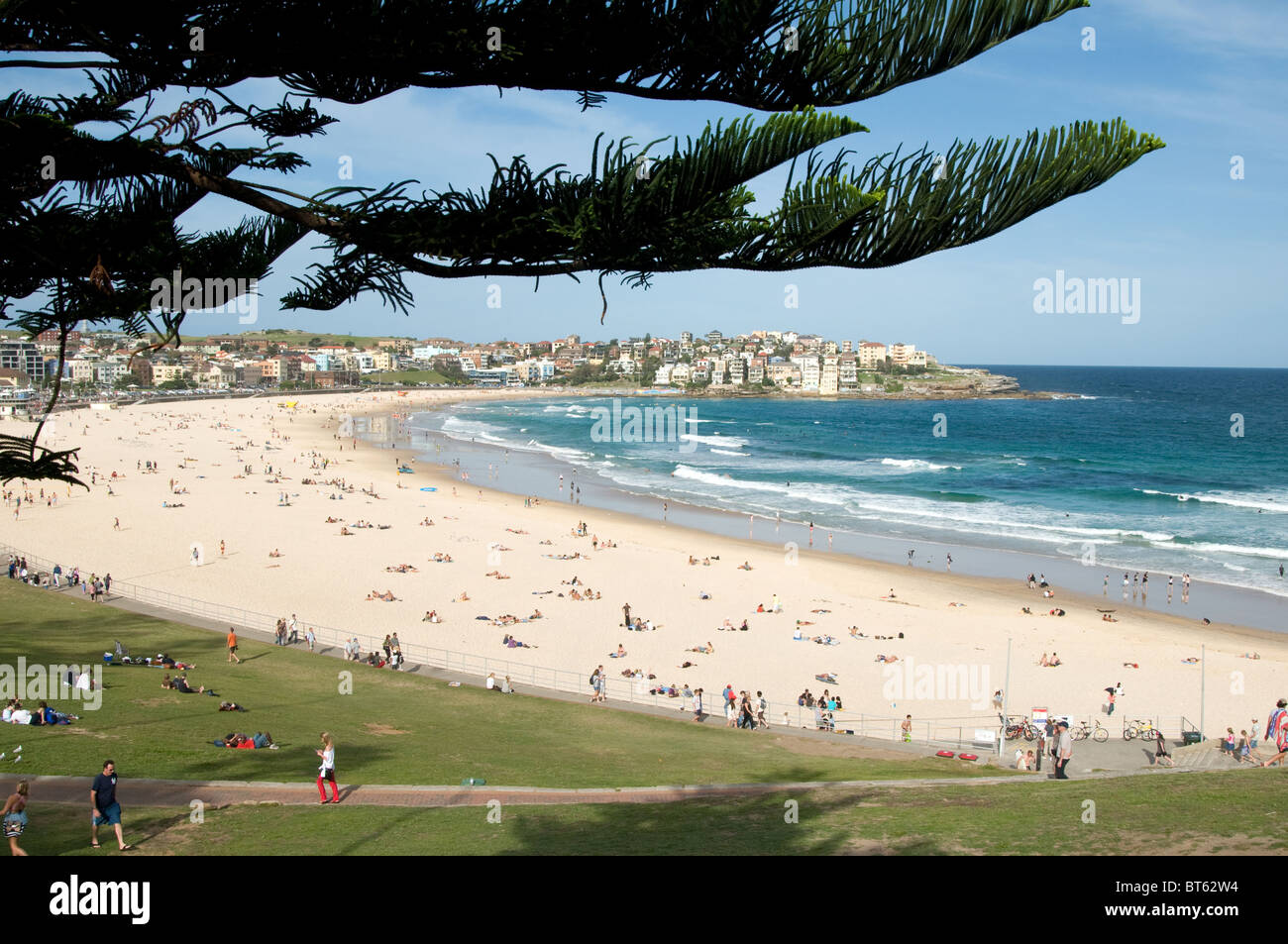 bondi beach sydney australia aussie surf surfer wave blue sea board ...