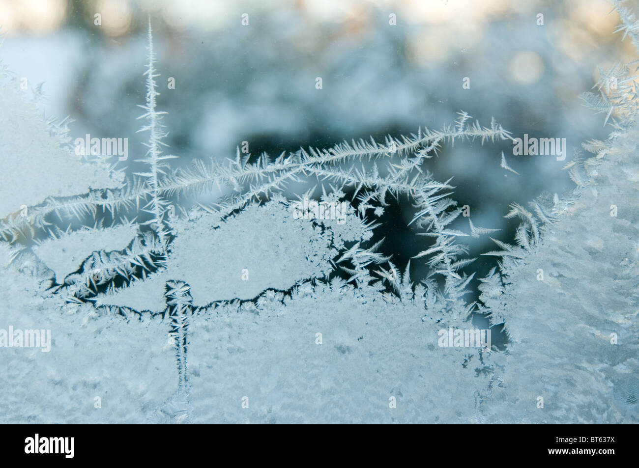 frozen ice crystals on window glass Stock Photo - Alamy