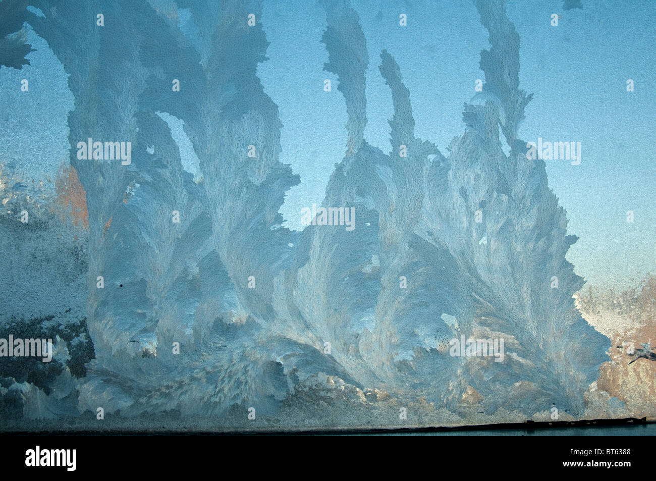 frozen ice crystals on window glass Stock Photo - Alamy